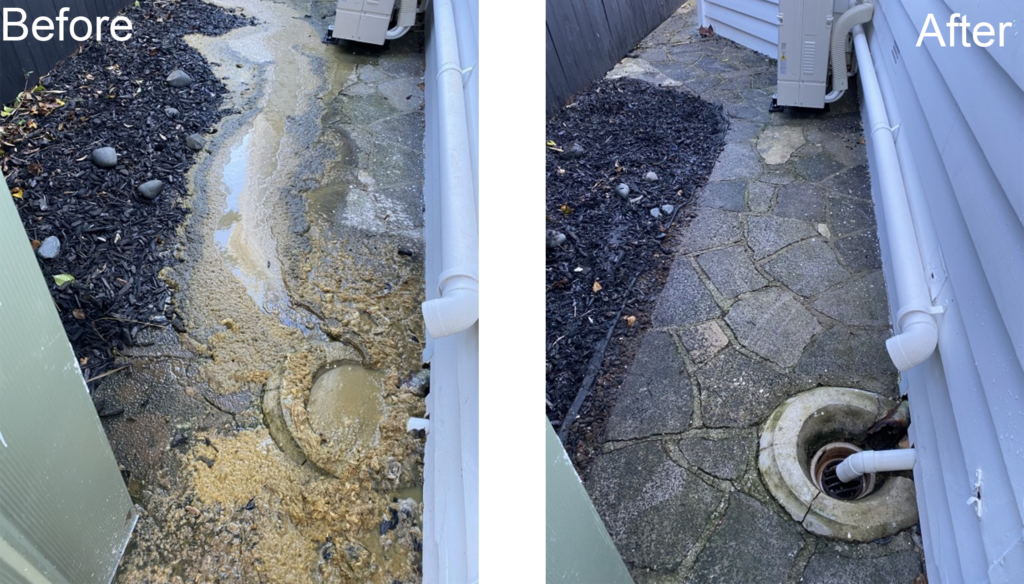 Drain Unblocking Remuera | Drainage NZ | Sewer Blockage